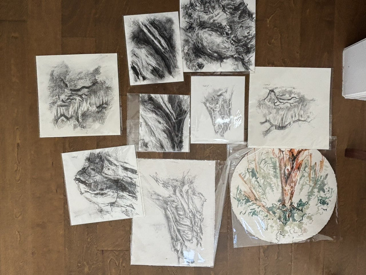 Medium studies from the Skin\Bones Show – Touché Gallery